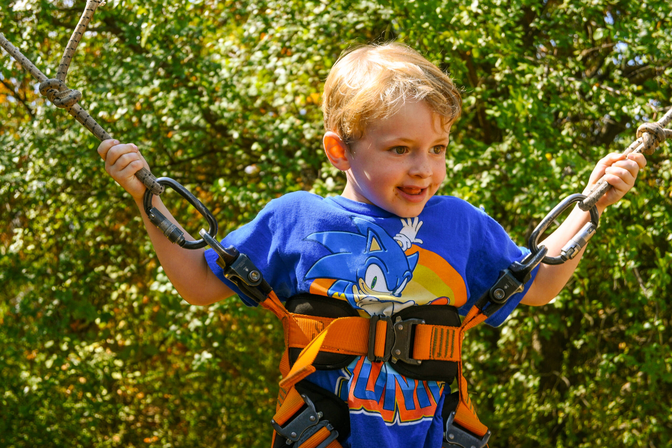 Sunshine - Camp Thurman